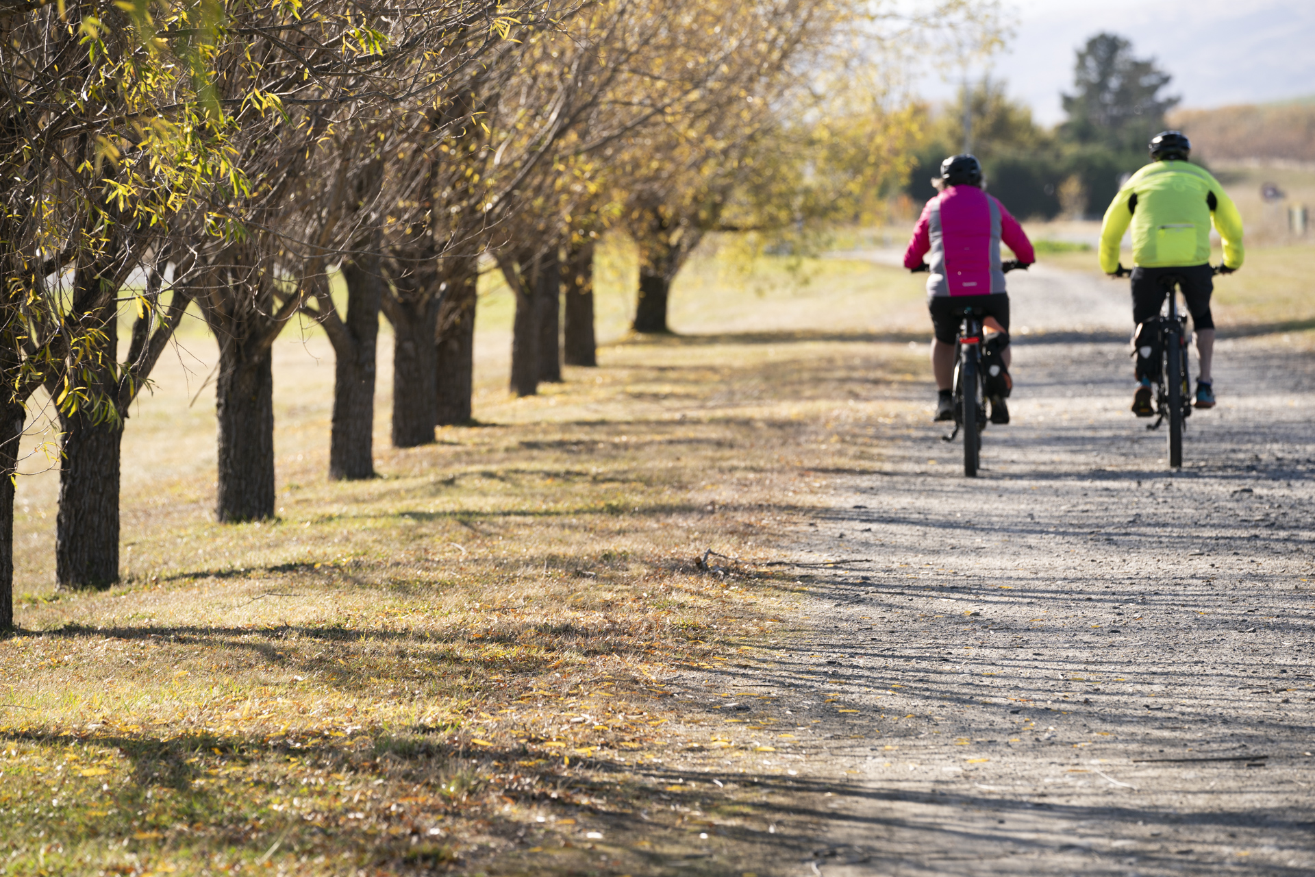 When is the best time to cycle The Otago Central Rail Trail? - Luxury Trail Company